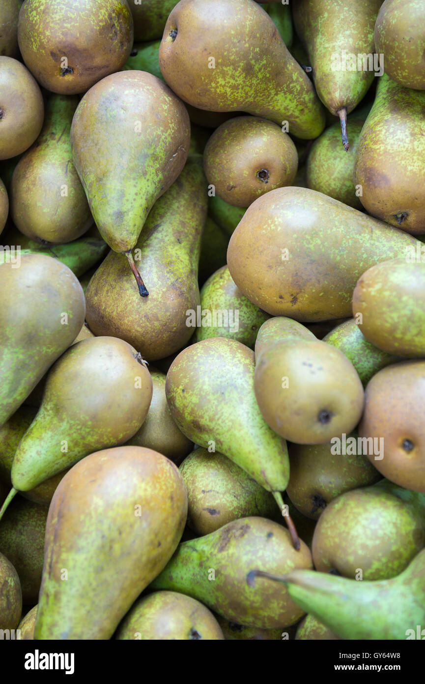 Stack of green pears on display at an outdoor farmers fruit market ...