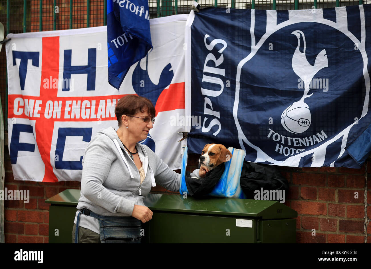 Dog lane hi-res stock photography and images - Alamy