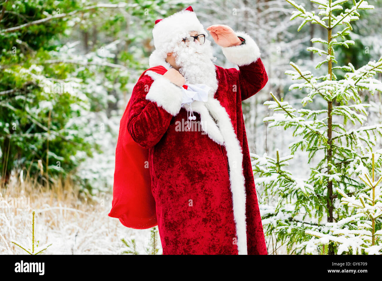 Santa Claus is watching the forest Stock Photo - Alamy