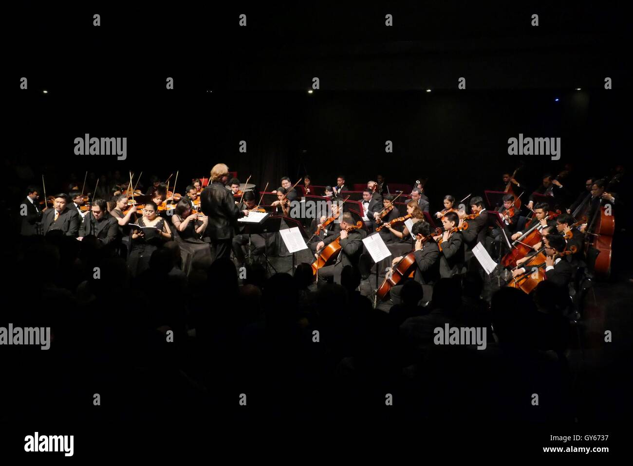 Presenting our soloists for "Guest Experience Beethoven's 8th Symphony ...