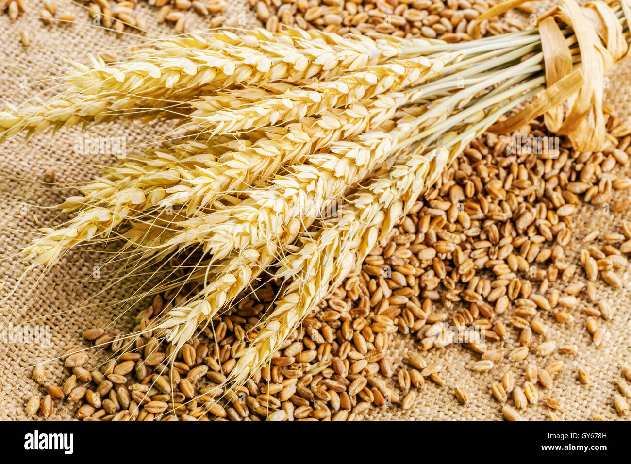 Wheat Spikes on grain on rustic jute fabric Stock Photo - Alamy