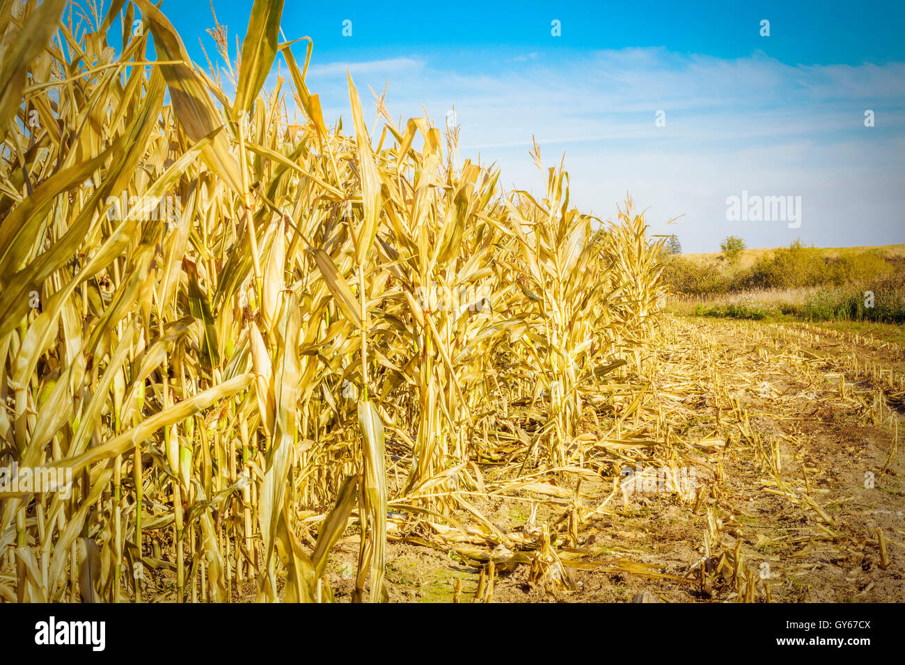 Cold agriculture hi-res stock photography and images - Alamy