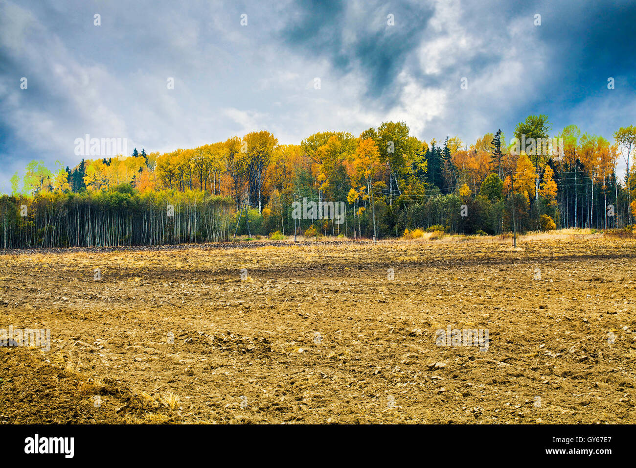 Rural landscape with dark sky Stock Photo - Alamy