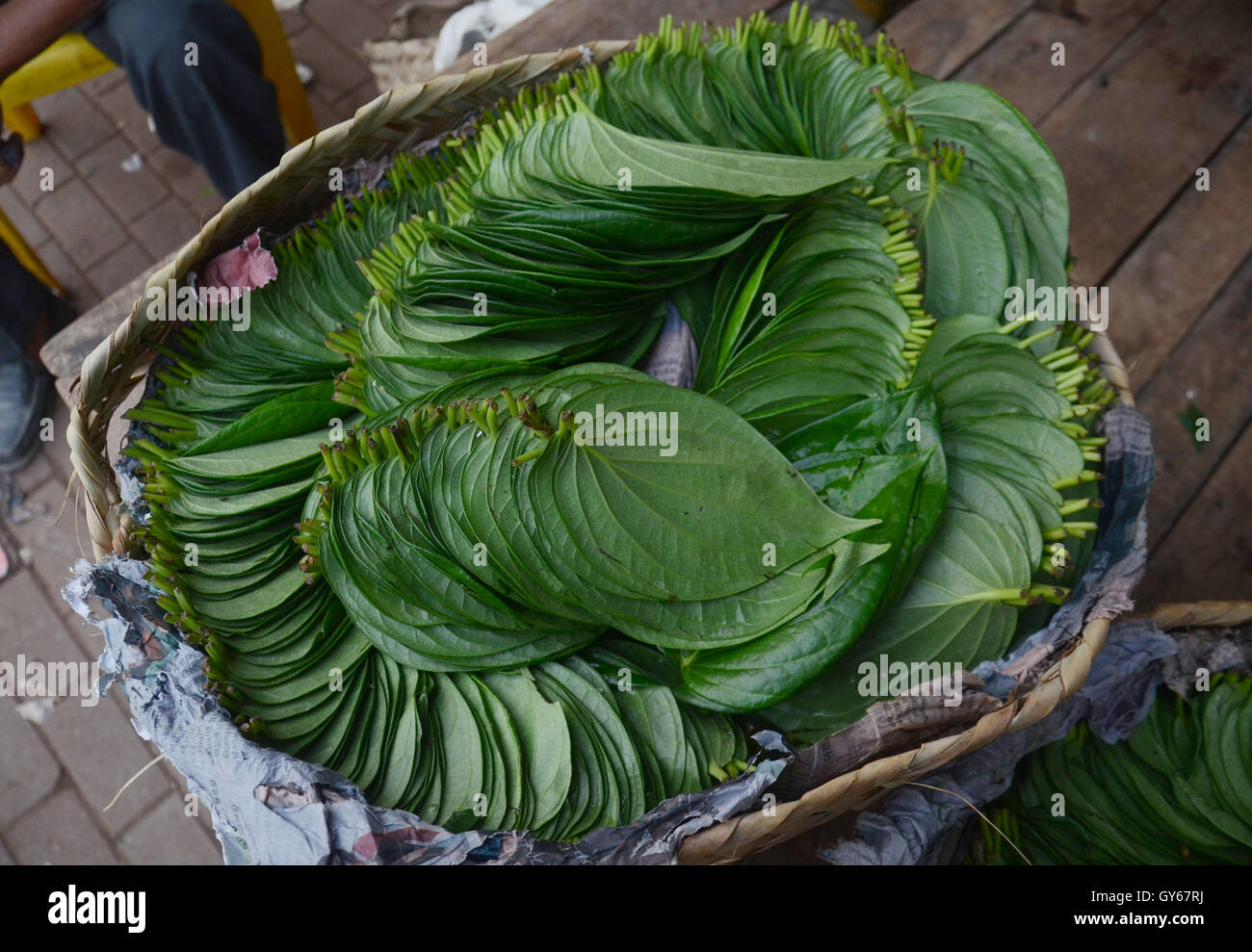 Betel nut slices hi-res stock photography and images - Alamy
