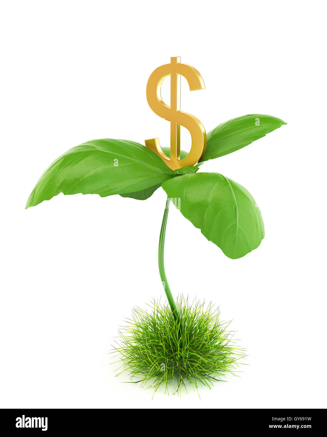 Green money illustration Cut Out Stock Images & Pictures - Alamy