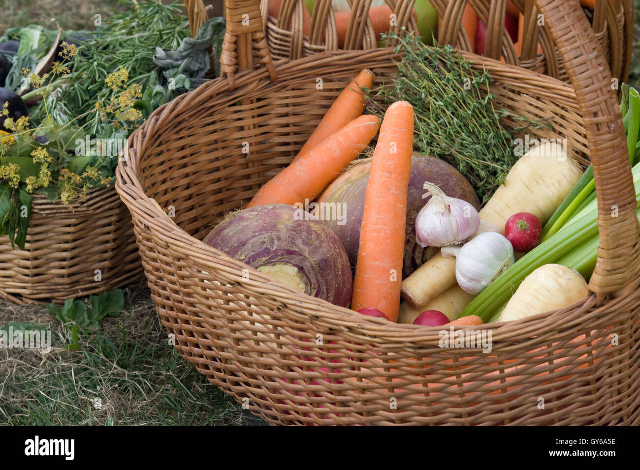Harvest display Wicker Basket full of Winter Vegetables Stock Photo - Alamy