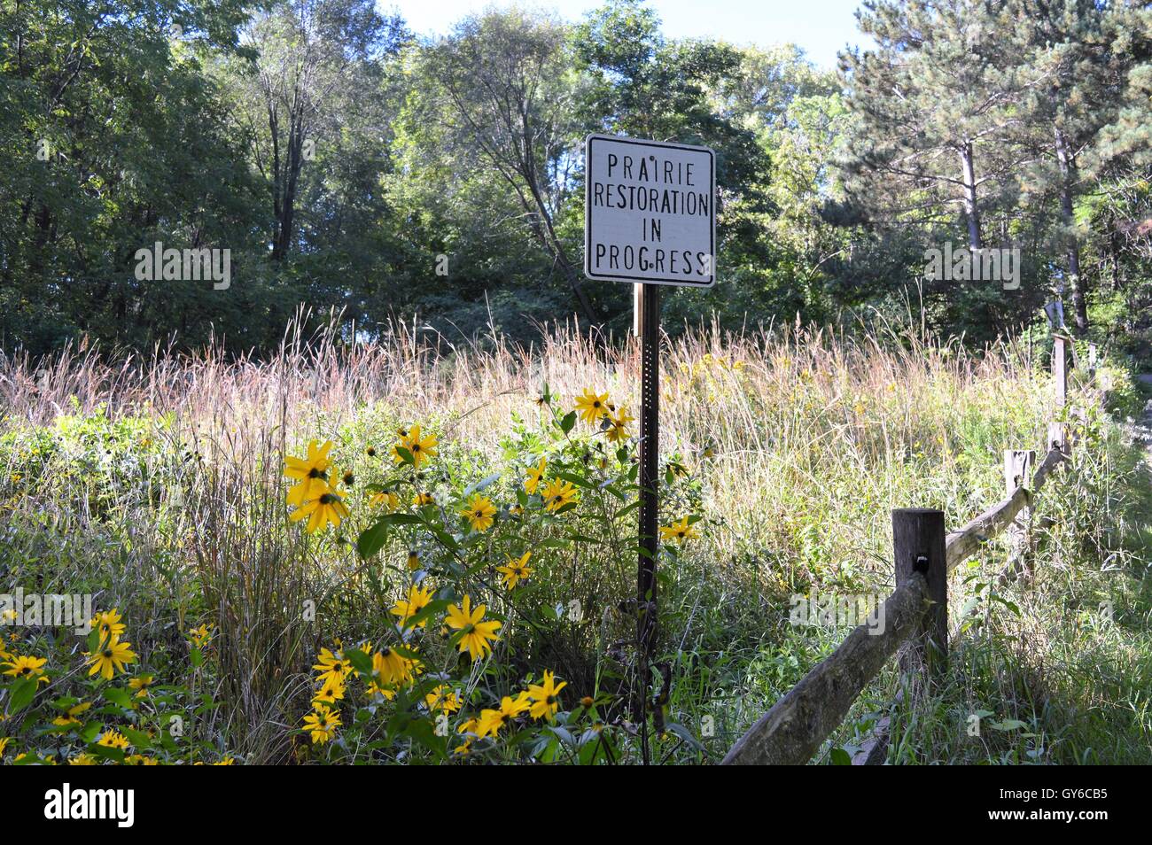 Prairie Restoration Site Stock Photo - Alamy