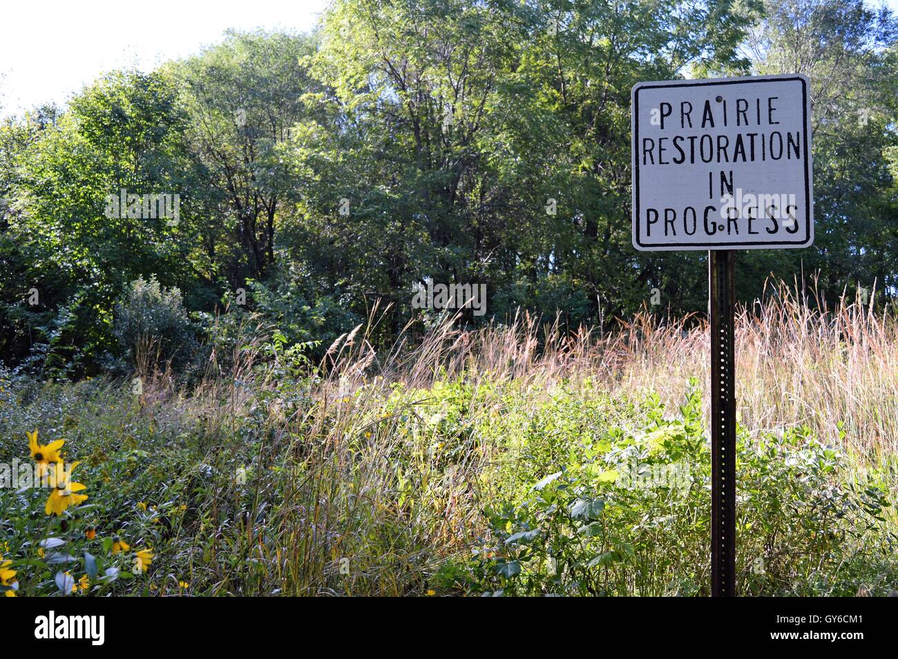 Prairie Restoration Site Stock Photo - Alamy