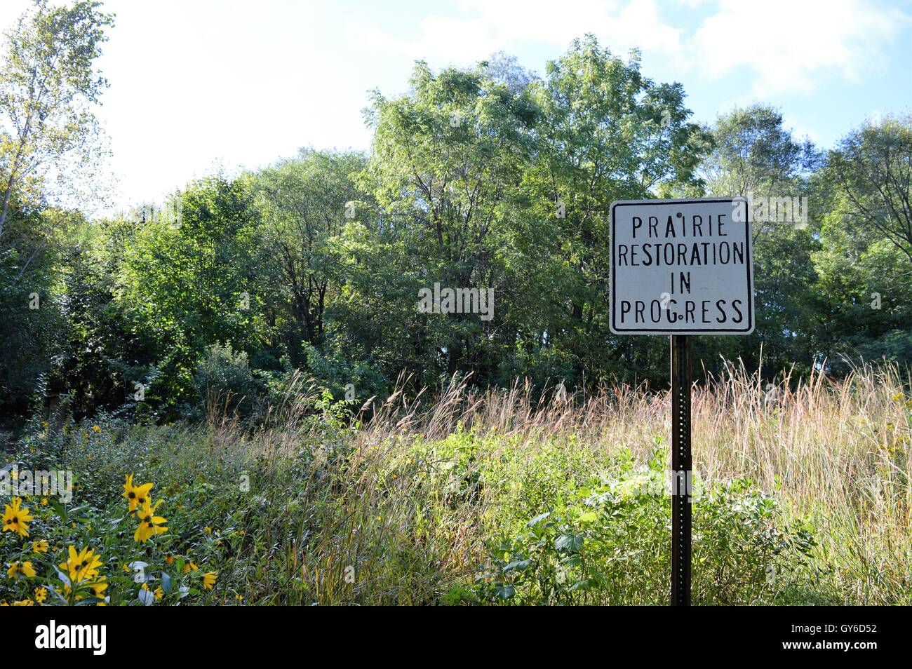 Restoration progress hi-res stock photography and images - Alamy