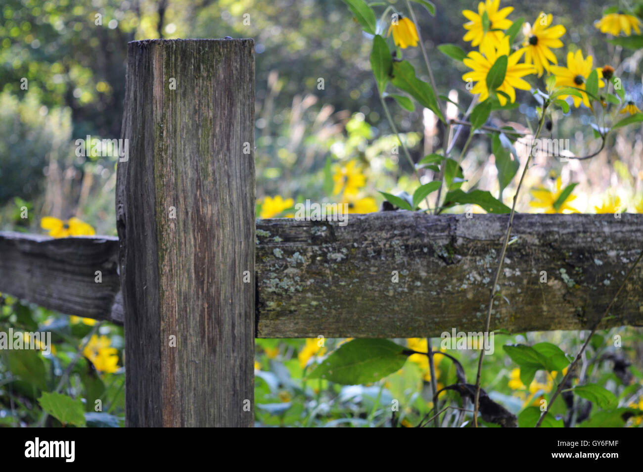 Prairie Restoration Site Stock Photo - Alamy