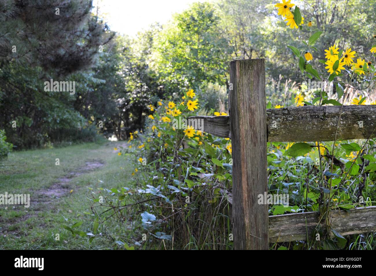 Prairie Restoration Site Stock Photo - Alamy
