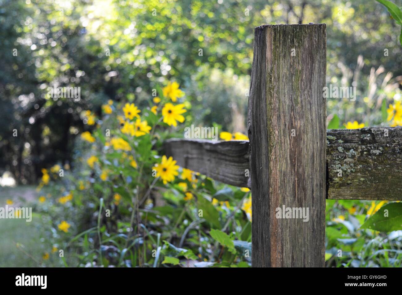 Prairie Restoration Site Stock Photo - Alamy