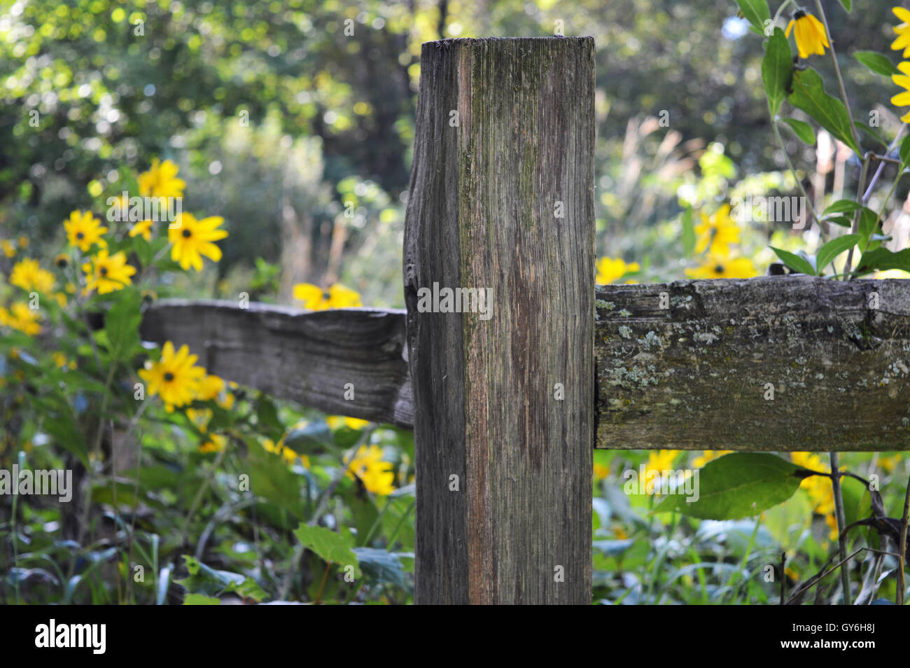Prairie Restoration Site Stock Photo - Alamy