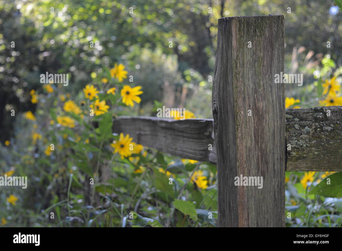 Prairie Restoration Site Stock Photo - Alamy