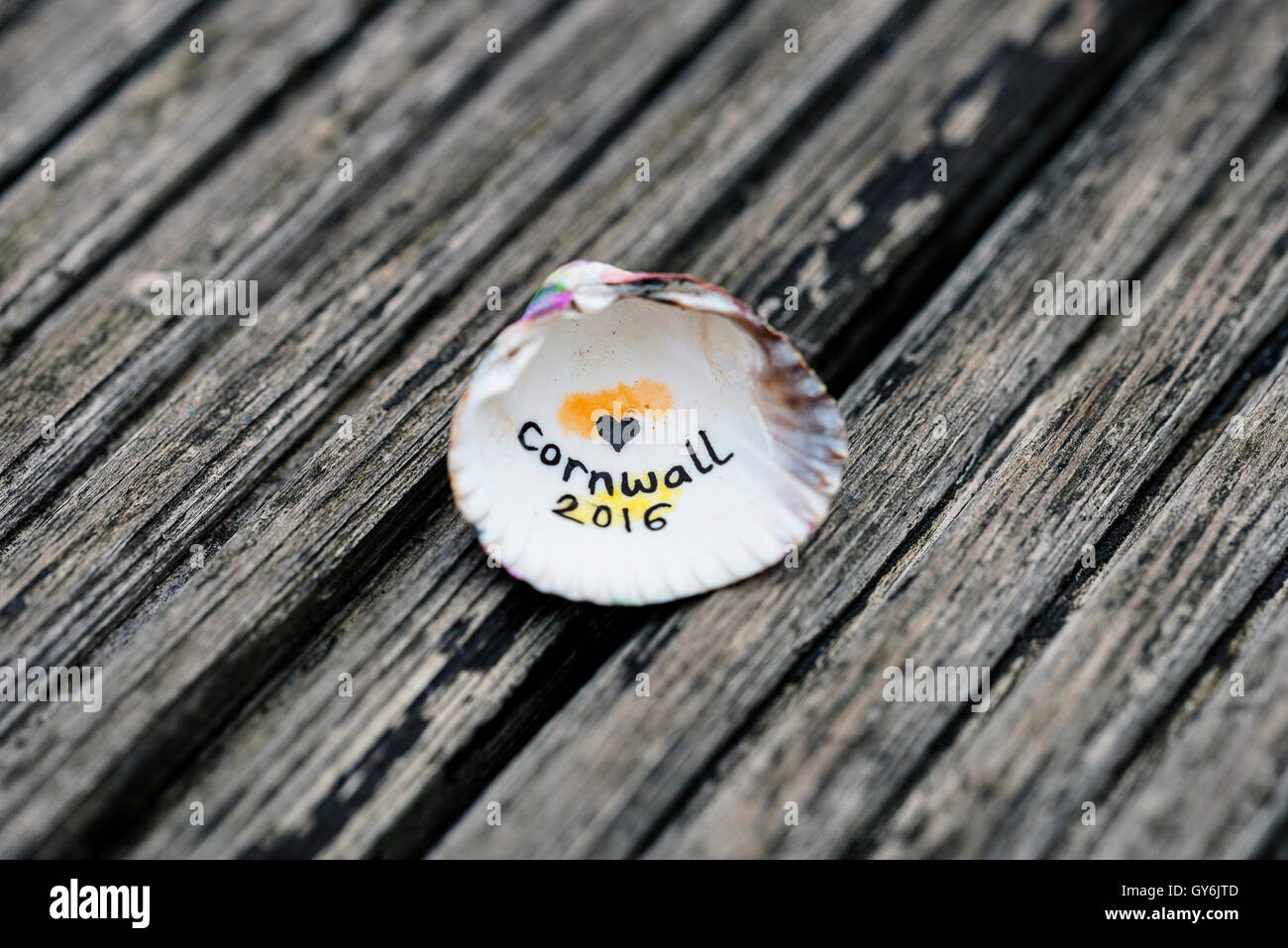 Crude drawing on shell hi-res stock photography and images - Alamy