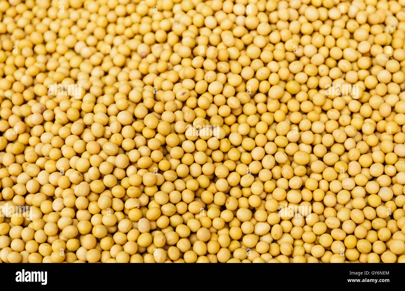 Yellow mustard seed hi-res stock photography and images - Alamy