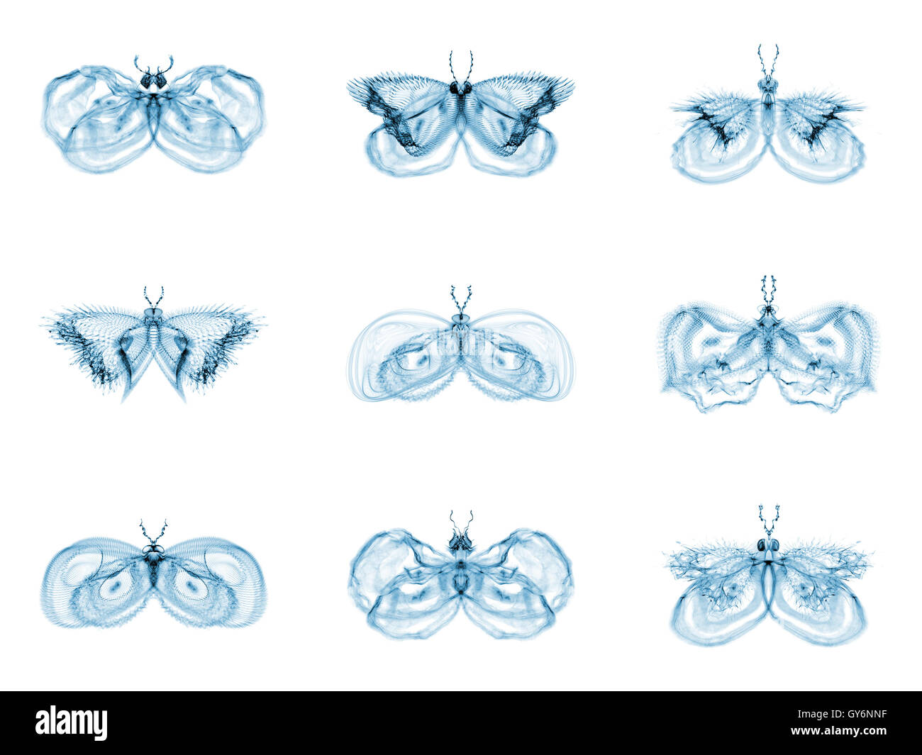 Butterfly diversity Cut Out Stock Images & Pictures - Alamy