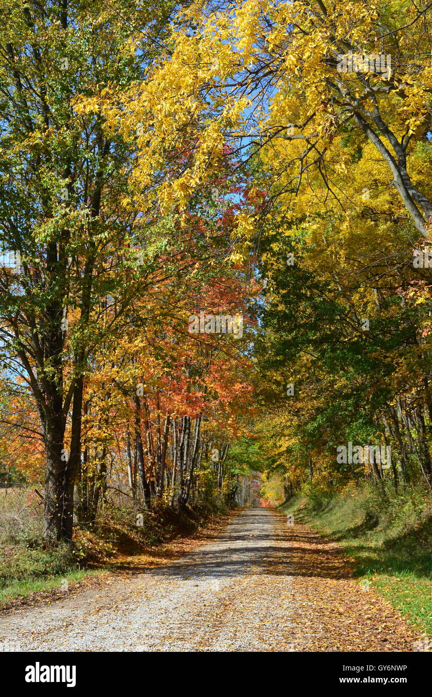 Amish country fall foliage hi-res stock photography and images - Alamy