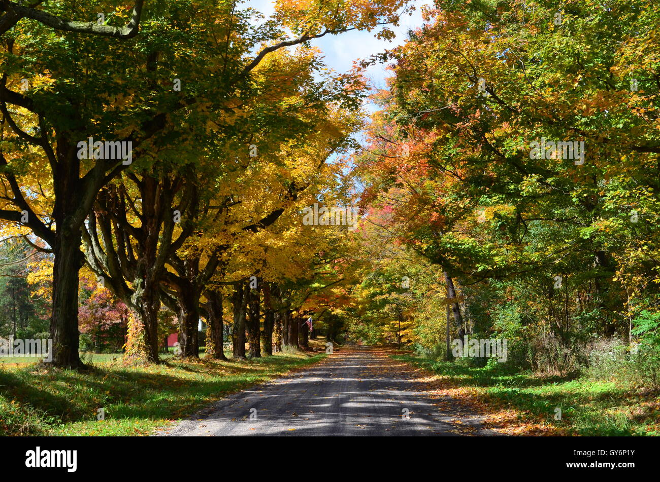 Amish country fall foliage hi-res stock photography and images - Alamy
