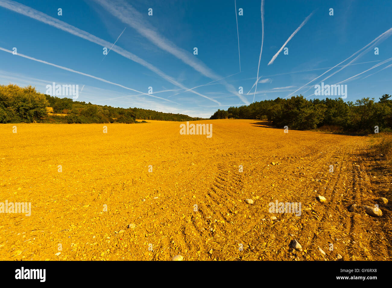 Meadow trace hi-res stock photography and images - Alamy