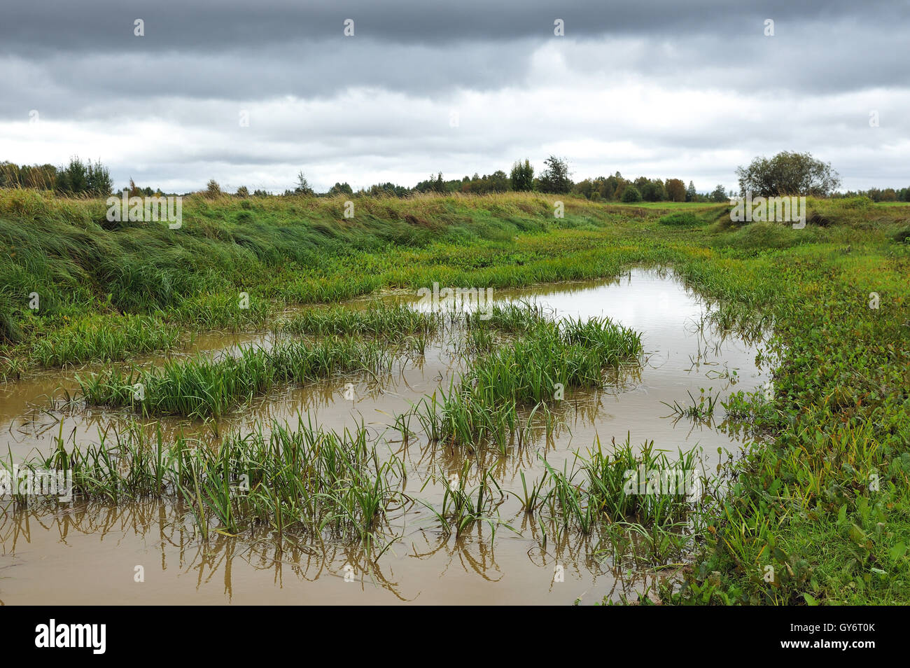 Landscape of beginning of autumn with ditch-water Stock Photo - Alamy