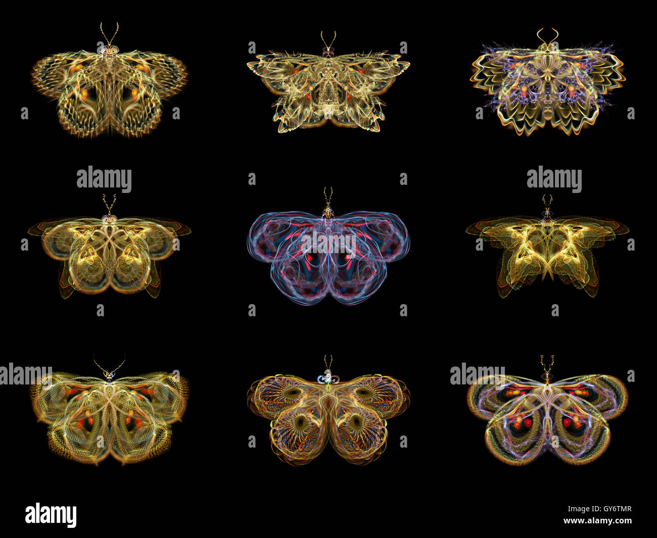 Fractal animal hi-res stock photography and images - Alamy