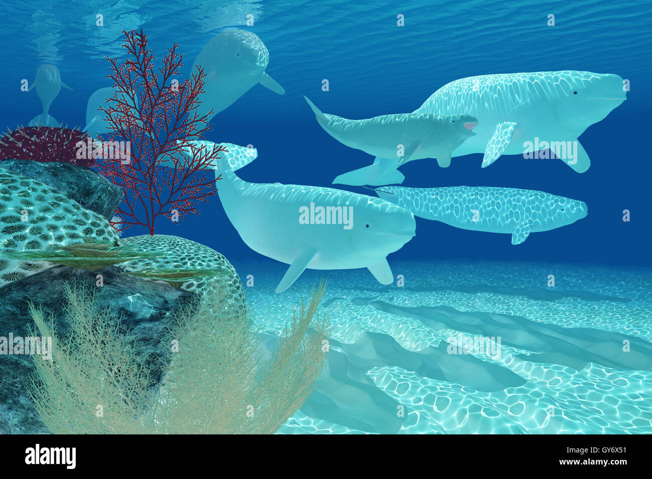 Beluga whale beluga hi-res stock photography and images - Alamy