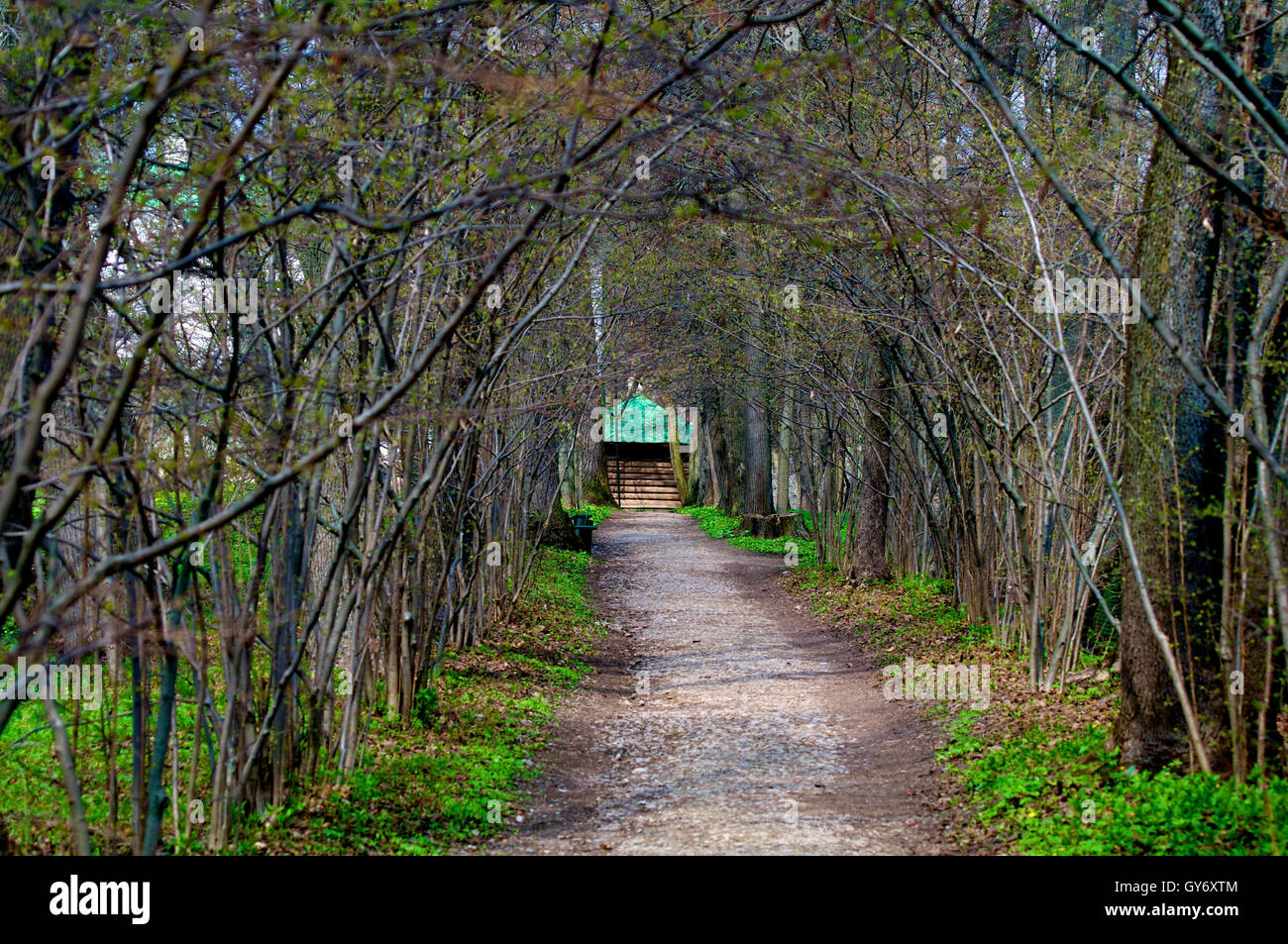 Road to Home Stock Photo - Alamy