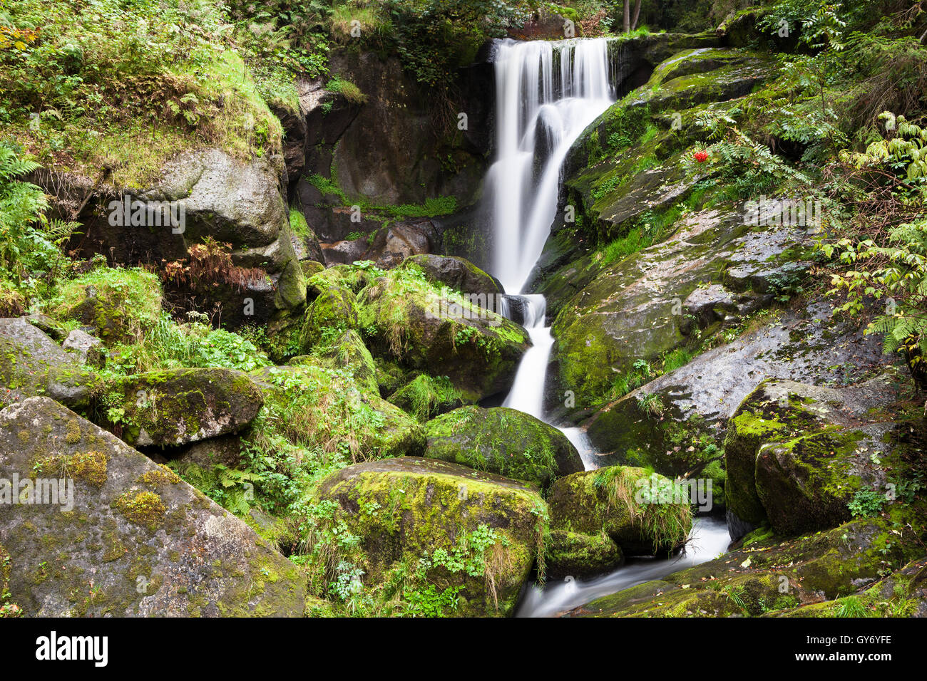 Triberger waterfalls hi-res stock photography and images - Alamy
