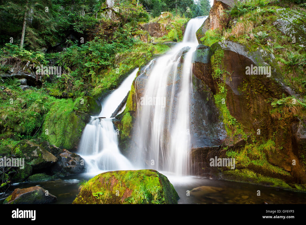 Triberger waterfalls hi-res stock photography and images - Alamy
