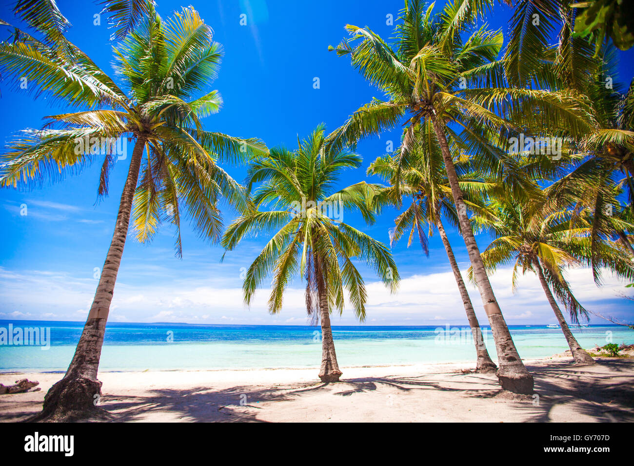 Tropical beach with beautiful palms and white sand, Philippines Stock ...