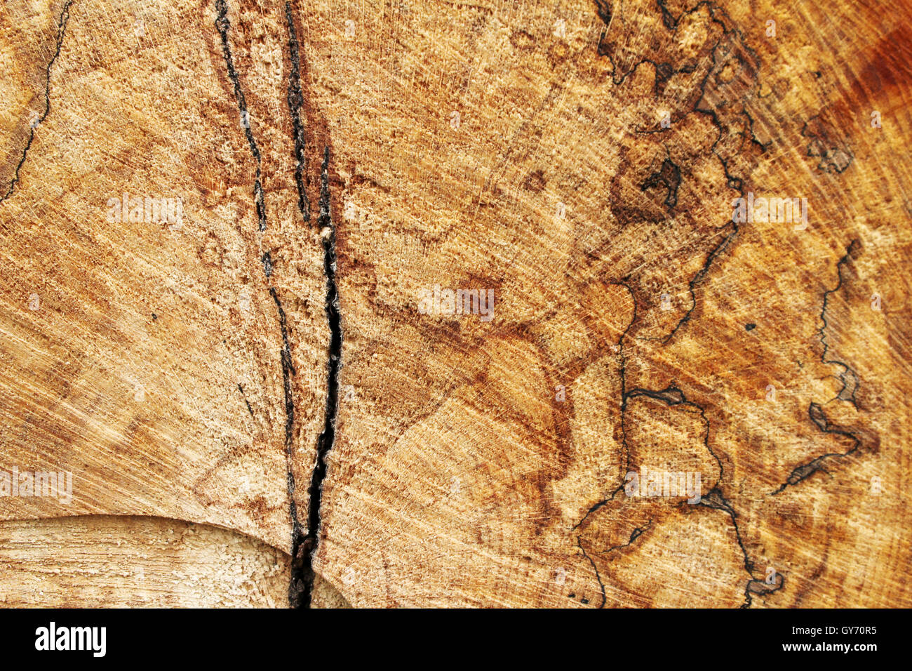 Tree coverings hi-res stock photography and images - Alamy