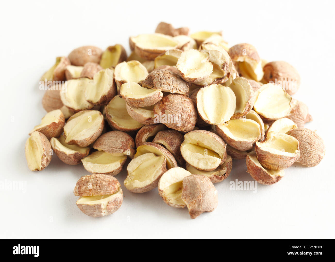 Fox nut hi-res stock photography and images - Alamy