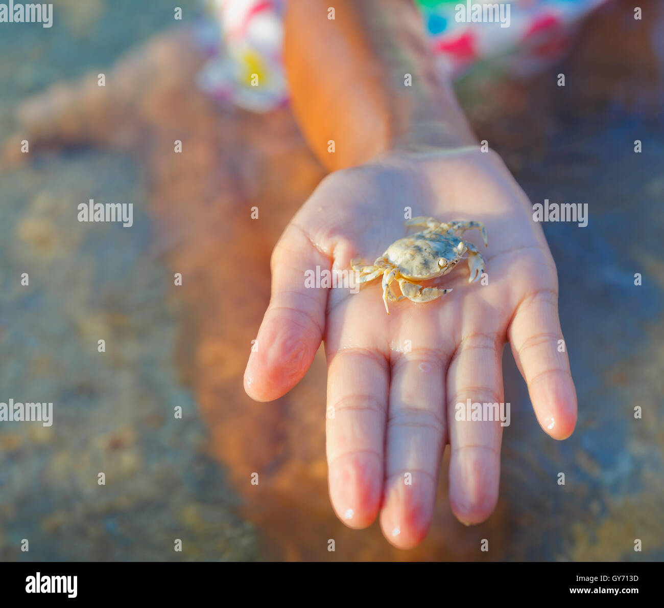 girl holding crab Stock Photo - Alamy