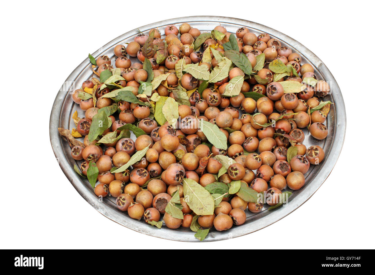Mediterranean medlar hi-res stock photography and images - Alamy
