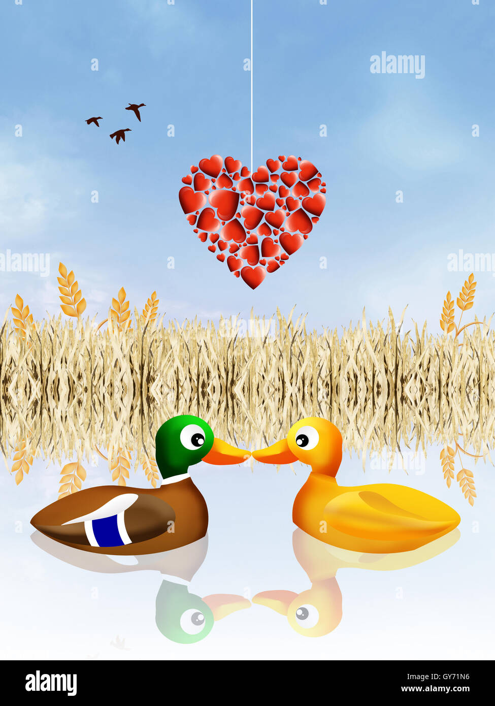 duck in love Stock Photo - Alamy