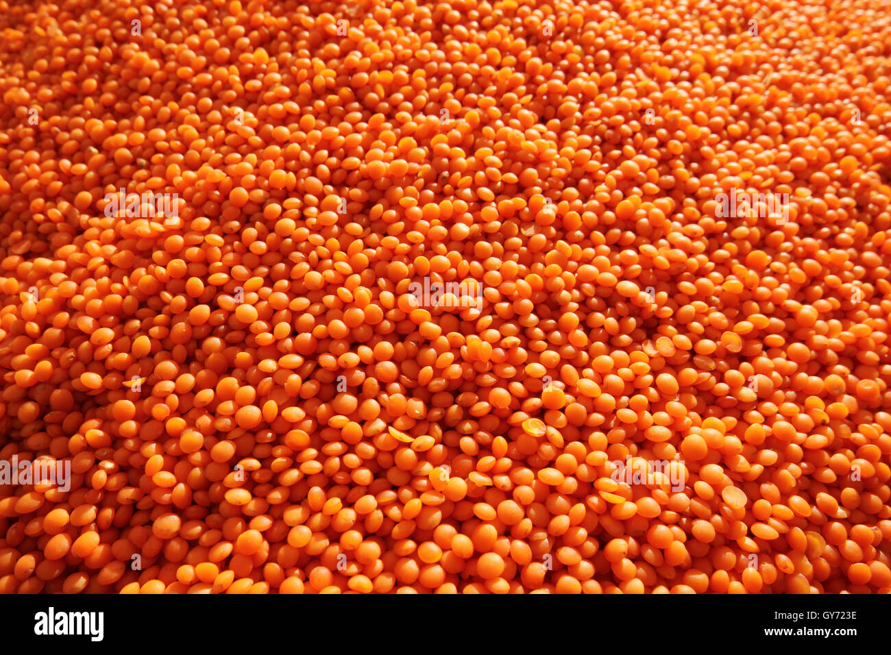 Lentil full frame hi-res stock photography and images - Alamy