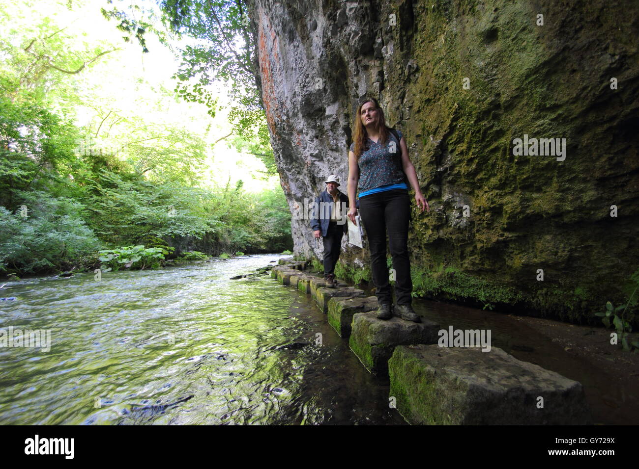 Chee dale nature reserve hi-res stock photography and images - Alamy