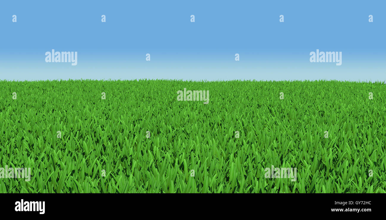 Field of green grass Stock Photo - Alamy