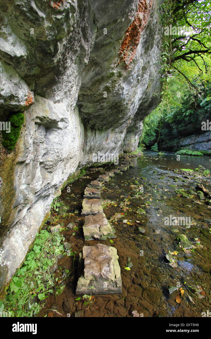 Stepping stones on the River Wye in Chee Dale, a spectacular limestone ...