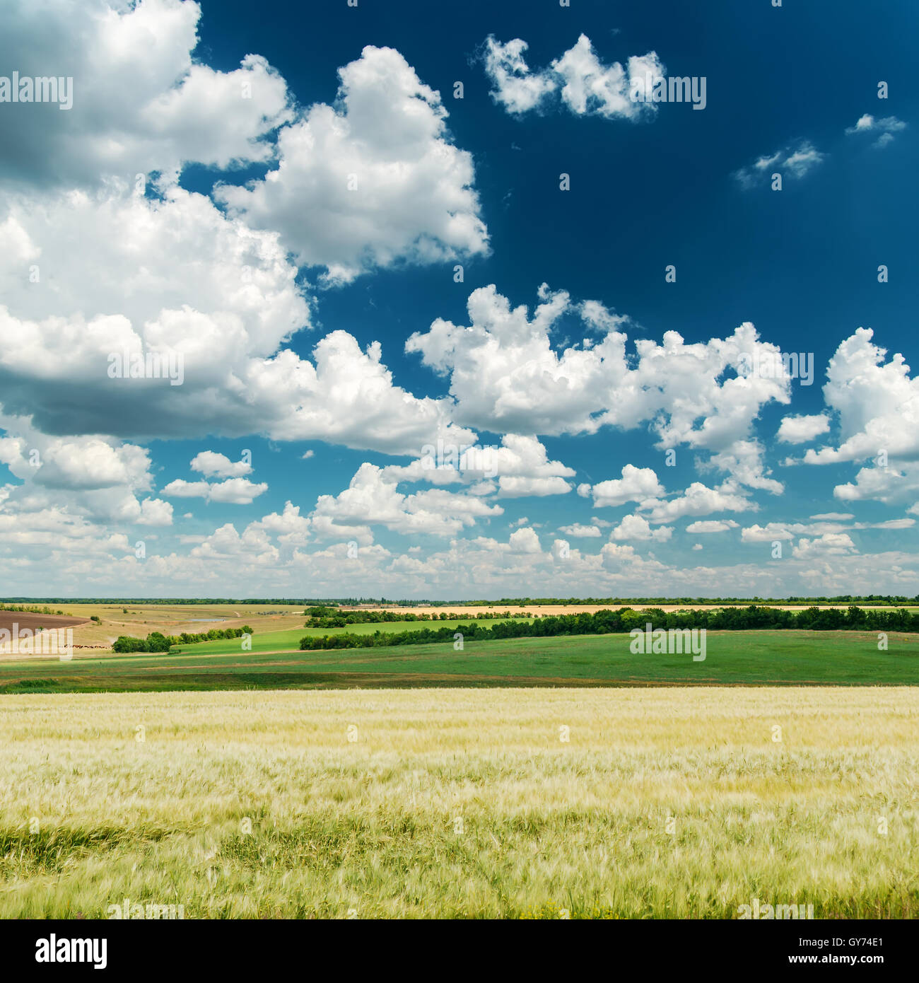 deep blue sky with clouds and green landscape Stock Photo - Alamy