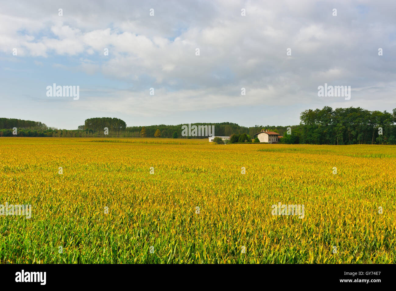 Plantation plain farmhouse hi-res stock photography and images - Alamy