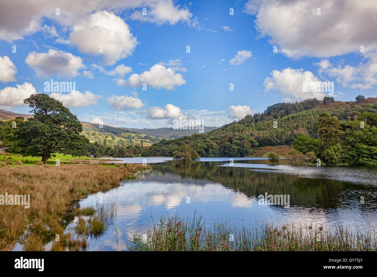 Cumbria Landscape Stock Photos & Cumbria Landscape Stock Images - Alamy