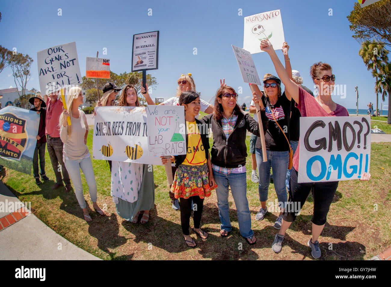 Carrying signs decrying genetically modified agricultural products (GMO ...