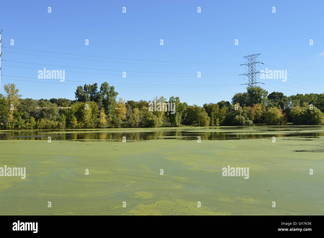 Water at shoreline hi-res stock photography and images - Alamy