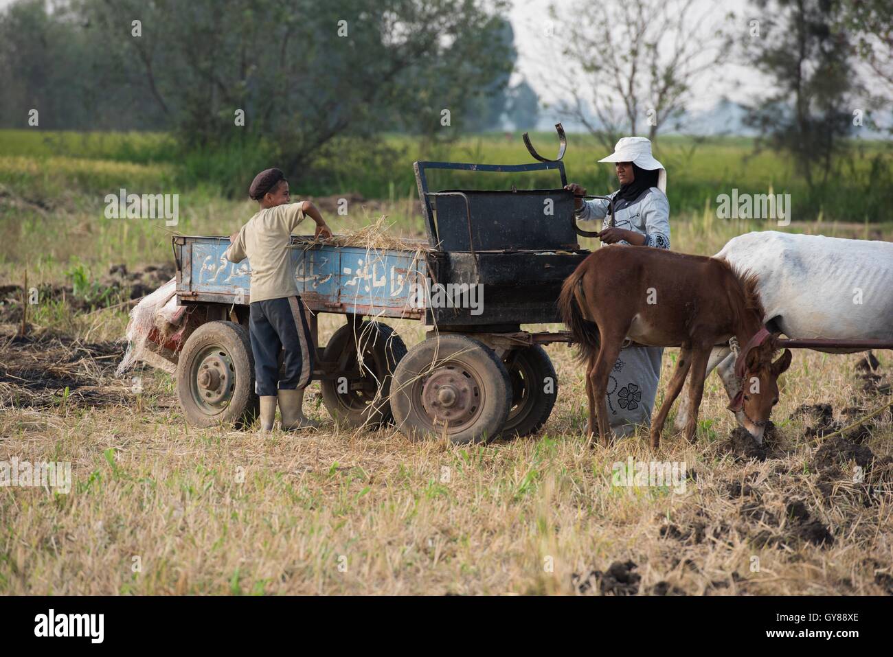 Egyptian farmers hi-res stock photography and images - Alamy