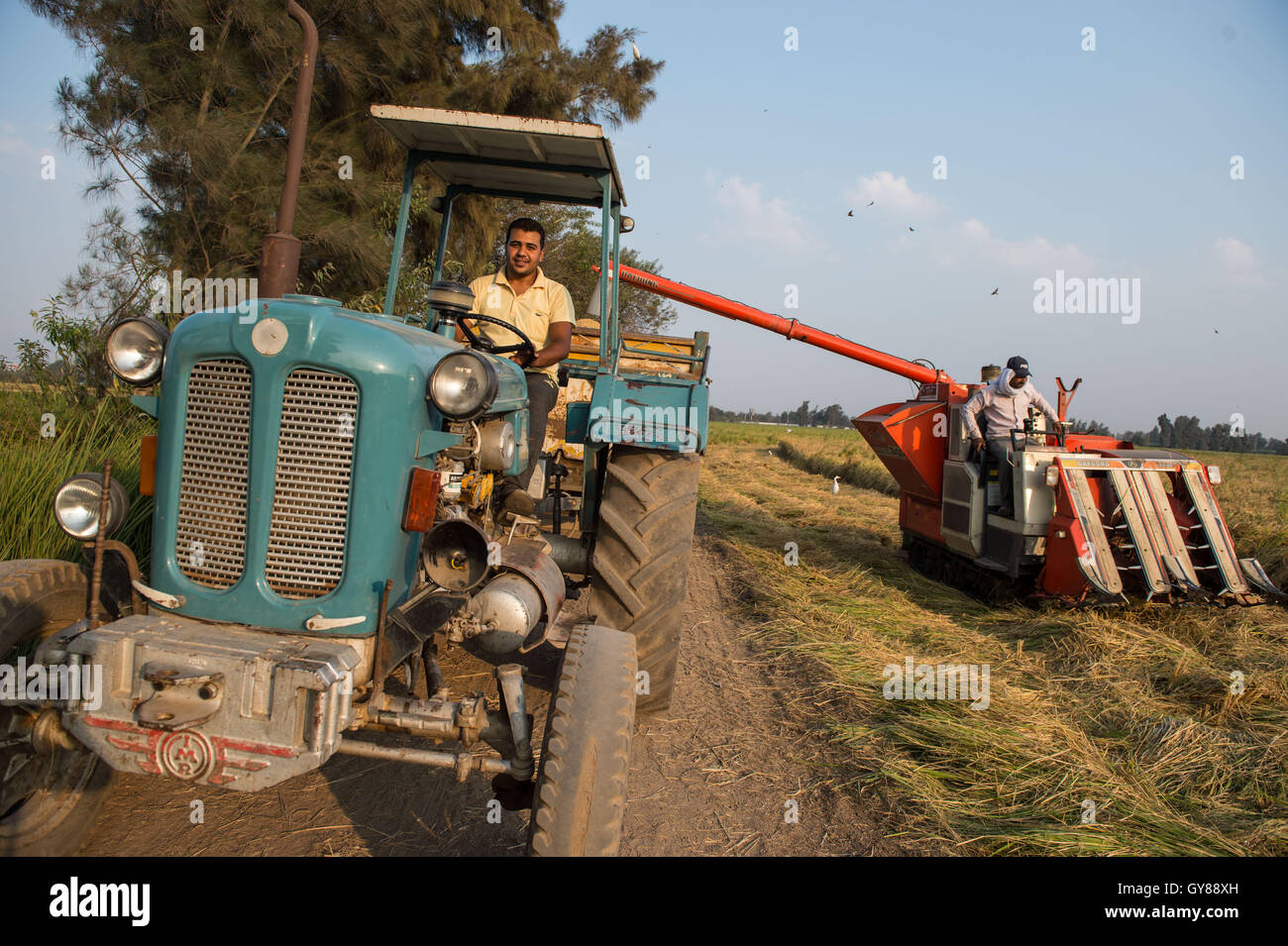 Egyptian Farmers High Resolution Stock Photography and Images - Alamy