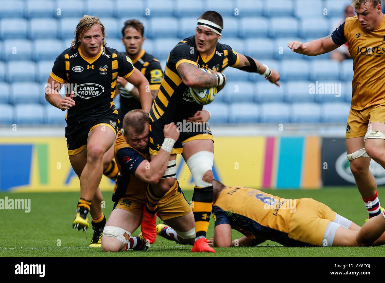 Wasps guy thompson hi-res stock photography and images - Alamy