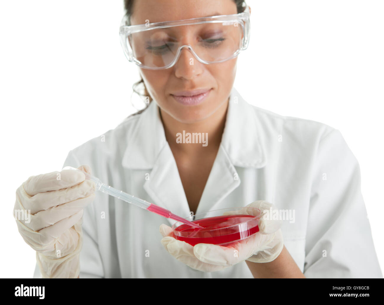 Carrying out test in laboratory Stock Photo - Alamy