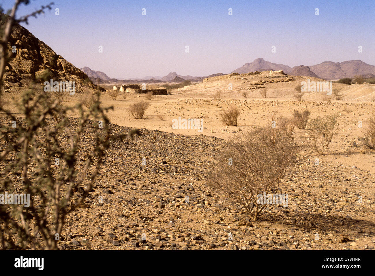 Yenbo hi-res stock photography and images - Alamy